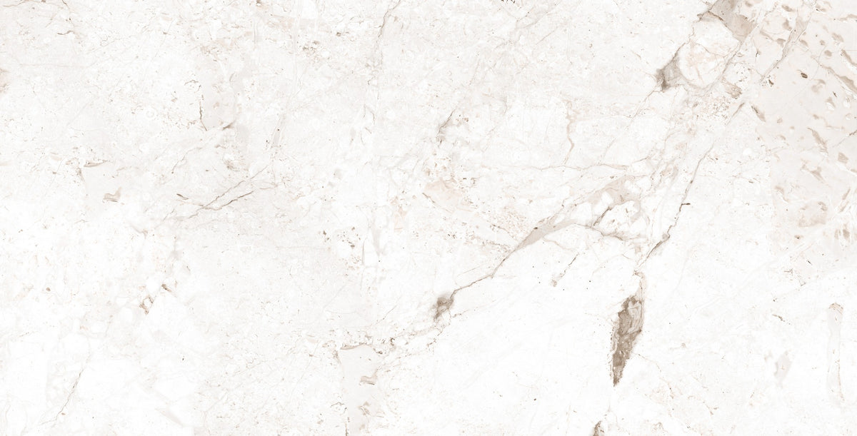 24-inch x 48-inch Aurora Polished Rectified Porcelain Floor and Wall T ...