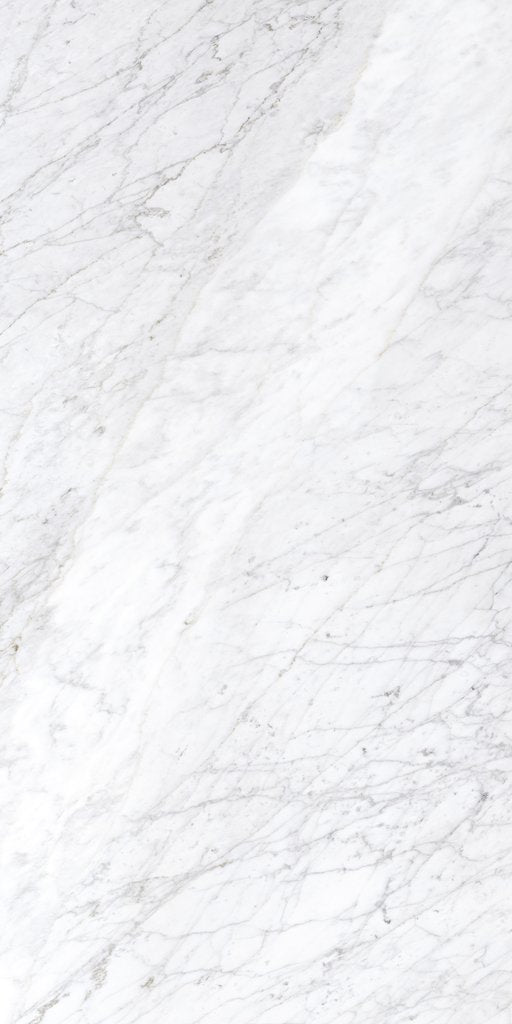 24-inch x 48-inch Carrara Satin Matte Rectified Porcelain Floor and Wa ...