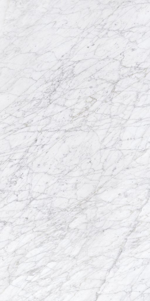 24-inch x 48-inch Carrara Satin Matte Rectified Porcelain Floor and Wa ...